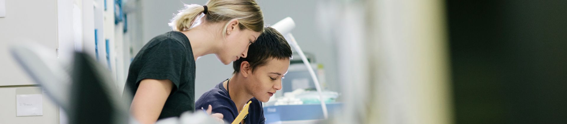 What Do Special Education Teachers Do? | National University