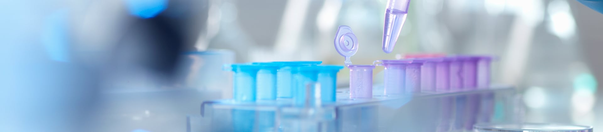 Master of Science in Forensic Psychology - General Forensic Psychology ...