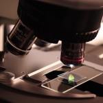 The Associate Degree in Biology: Career Paths | National University