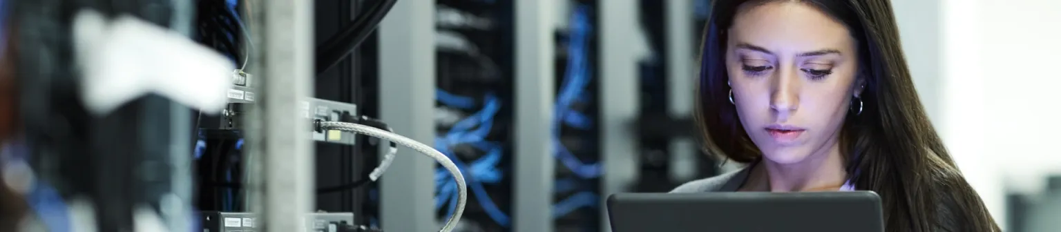 Information Technology vs. Information Systems: Which Path to Choose?