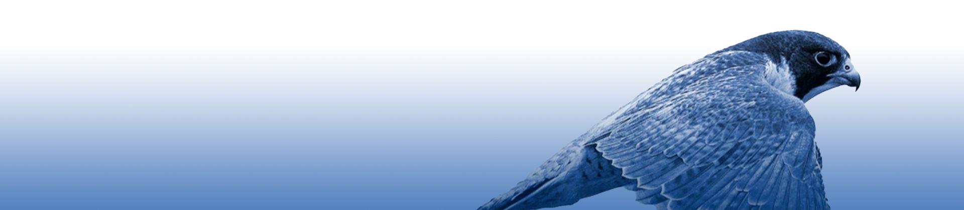 NU Mascot Navi | National University