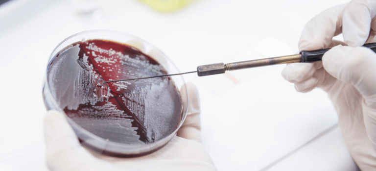 Graduate Certificate in Forensic and Crime Scene Investigation ...