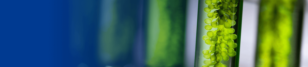 Bachelor of Science in Biology | National University