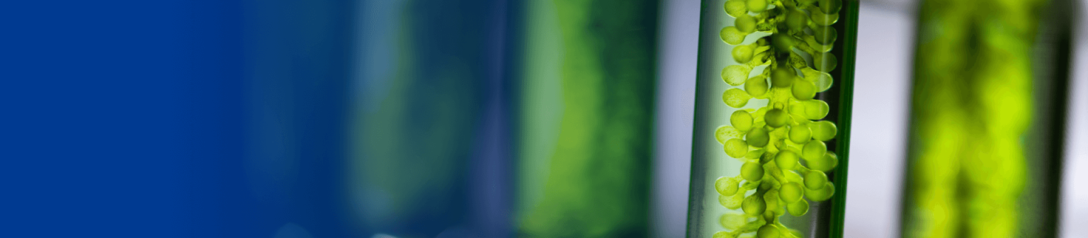 Bachelor of Science in Biology | National University