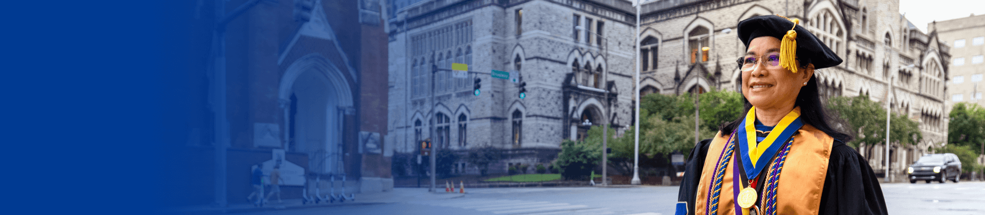 Doctor of Nursing Practice in Executive Leadership | National University