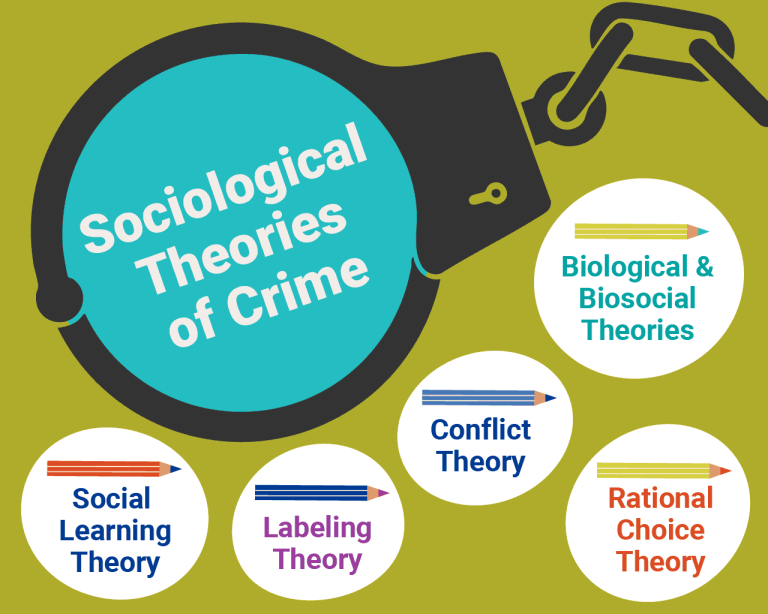 Sociological Theories of Crime and Deviance | National University
